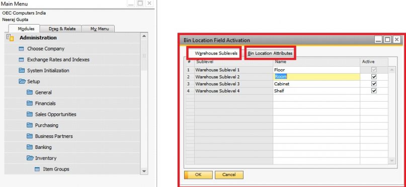Bin Locations in SAP Business One 9.0